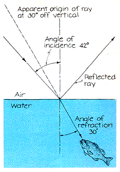 The Amateur Scientist