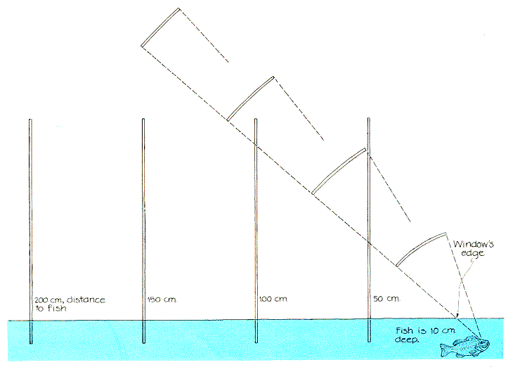 The Amateur Scientist