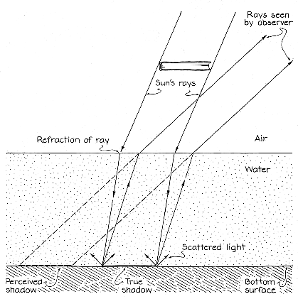 The Amateur Scientist